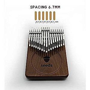 Seeds Pisces 34 Key Chromatic Kalimba C-Tuned | Double Layer Flat Board Thumb Piano Instrument | Music Kalimba Gifts Idea