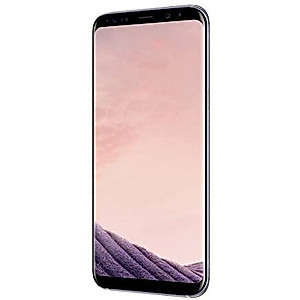Samsung Galaxy S8 Plus 64GB Orchid Gray AT&T