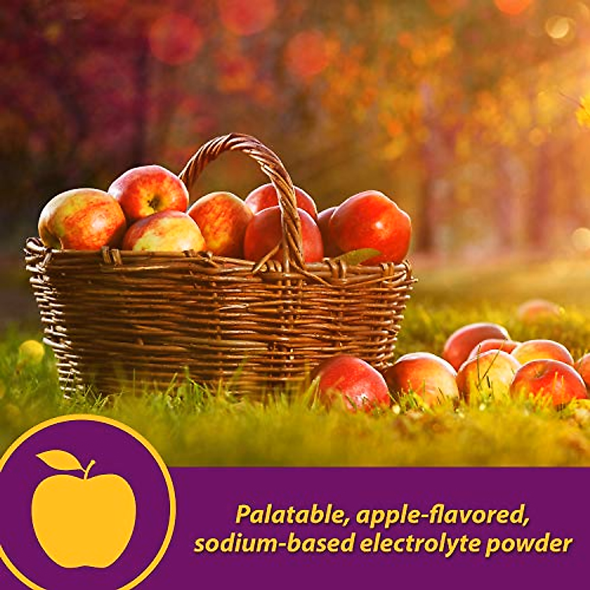 Horse Health Apple-Dex Apple Flavored Electrolytes for Horses, Replaces minerals lost during exercise, under stress or extreme weather conditions, 5 pound