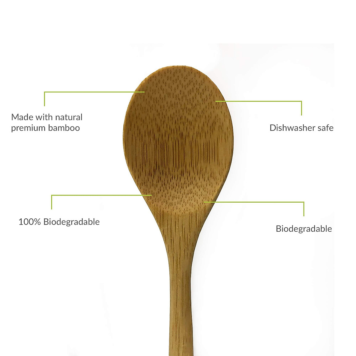 JapanBargain 3807, Pack of 10 Solid Bamboo Dinner Spoons Soup Spoons, 8-inch