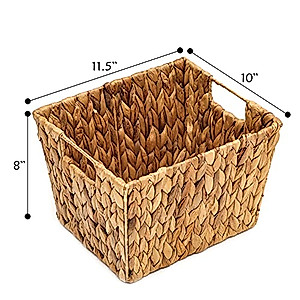 11.5"L x 10"W x 8"H Hyacinth Storage Basket with Handles, Rectangular, by Trademark Innovations
