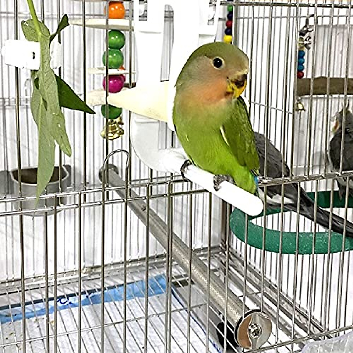 CHDHALTD Bird Food Holders, Parrot Fruit Vegetable Clips Bird Cage Feeder Clip for Budgie Parakeet Cockatoo Macaw Cage(Vegetable)