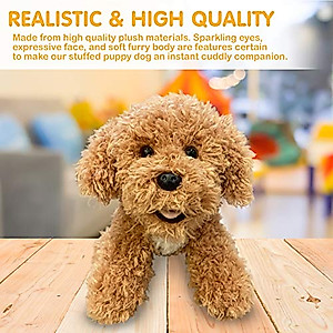 Super Soft Plush Dog Toy, Labrador Puppy, Cream Color, 13 Inches, Great for Kids and Adults, Cuddly Companion for Grandparents, Stuffed Animals & Stuffed Dolls (Goldendoodle)