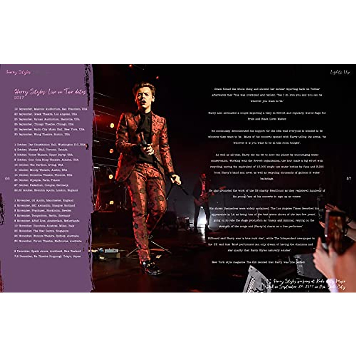 Harry Styles: Adore You: The Illustrated Biography