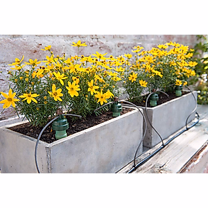 Blumat Irrigation System for 8 Plants w/Pressure Reducer | Automatic Drip Irrigation Kit | No Electricity, No Batteries Required | Garden, Patio, Hanging Baskets, Raised Bed, Greenhouse