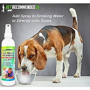 Vet Recommended - Dog Breath Freshener & Pet Dental Water Additive (8oz/240ml) All Natural - Perfect for Bad Dog Breath & Dog Teeth Spray. Spray in Mouth or Add to Pet's Drinking Water. USA Made.