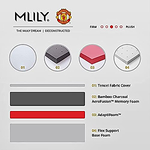 MLILY 12 Inch Twin XL Mattress, Manchester United Memory Foam Mattress in a Box Made in USA, Medium Plush, CertiPUR-US Certified