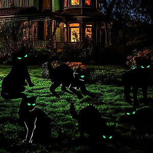 Halloween Yard Signs,6 pack Black Cat with Fluorescent Eyes,Halloween Decorations Outdoor,Scary Silhouette with Stakes for Yard Lawn Deco Party