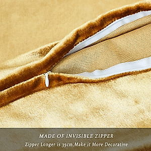 GIGIZAZA Decorative Throw Pillow Covers 18 x 18,Gold Black Soft, Set of 4 Square Velvet Cushion Covers