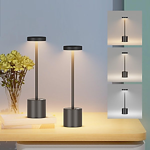 Howskys 2 Pack USB Rechargeable Desk Lamp, Modern LED Cordless Desk Lamp, 5500mAh 3 Tone Light Touch Desk Lamp for Dining Room/Indoor/Outdoor (Black)