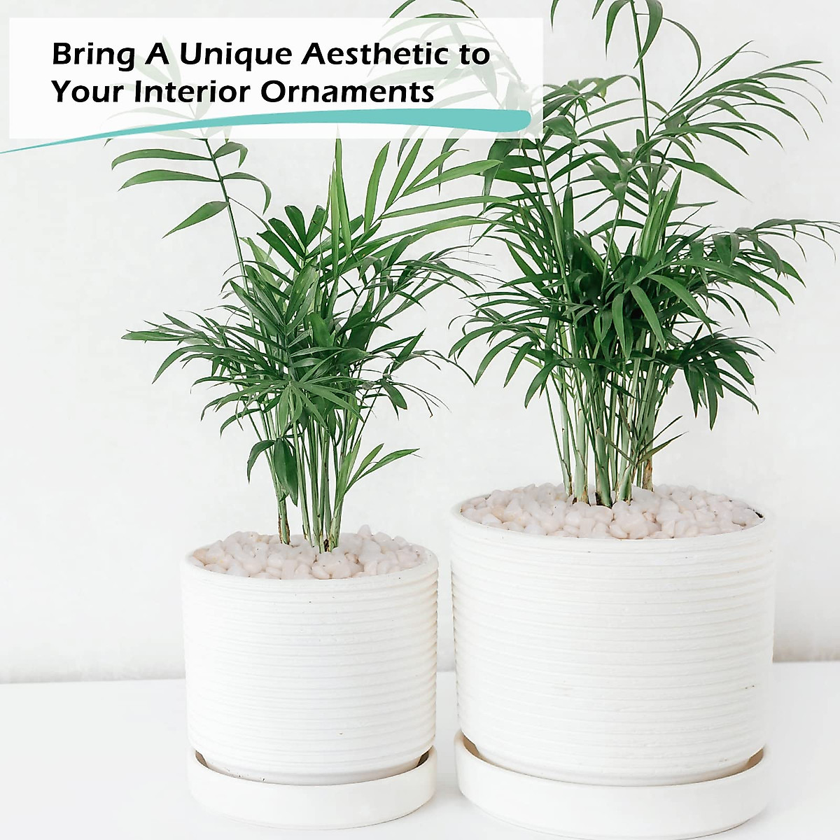 GASPRO 2.5 Pound Pebbles for Indoor Plants, 3/8" Decorative White Rocks for Vases, Planters, Succulents, Bamboo, Highly Polished and Smooth Surface