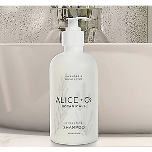 Alice + Co. Shampoo & Conditioner - Fairfield by Marriott - TownePlace - SpringHill - Hotel Bath Amenities - Lavender & Eucalyptus - 8.5 oz Bottles - Hair Care Set