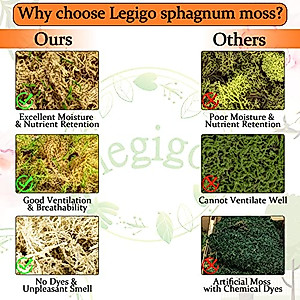 Legigo 5.3 OZ Premium Sphagnum Moss Potting Mix- Natural Succulent Carnivorous Plants Moss Dried, Long Fibered Sphagnum Moss Plant Growing Medium for Orchid Succulent Sarracenia Orchid Plants (6 QT)