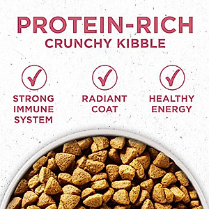 Purina ONE Natural, Sensitive Stomach Dry Dog Food, +Plus Skin & Coat Formula - 16.5 lb. Bag