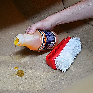 Detail King Automotive Carpet Shampoo & Car Upholstery Cleaner - Auto Detailing Carpet Cleaner For Car Interior - 16oz