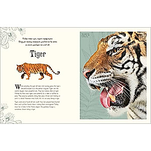 An Anthology of Intriguing Animals (DK Children's Anthologies)