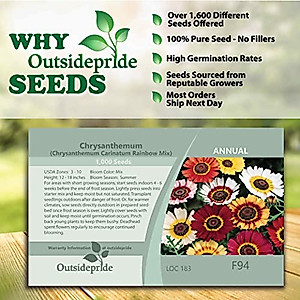 Outsidepride Chrysanthemum Rainbow Garden Cut Flower Painted Daisy Mix - 1000 Seeds