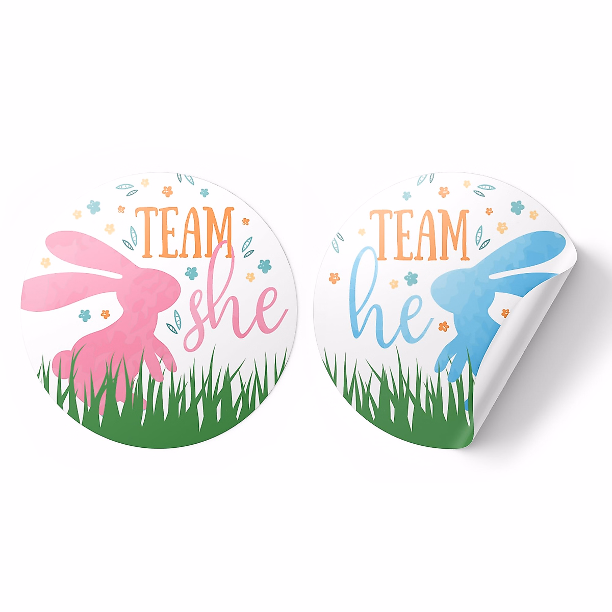 What Will Our Little Bunny Be Gender Reveal Party -Team He or Team She - 40 Stickers