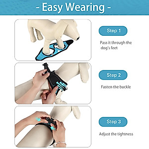 YIMEIS Dog Harness (XS, Blue) for Small Dogs, Lightweight Harness & Leash Set, Adjustable, Reflective, Breathable, 360°Visibility, Playful Style