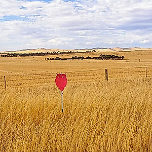 Yardwe 2PCS Plastic Owls Hanging Owl Deterrent Bird Device Garden Hanging Owl Decor for Woodpecker Garden Yard Courtyard