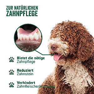 GoodWood Coffee Tree Wood - Chewable Stick Medium, 200 g