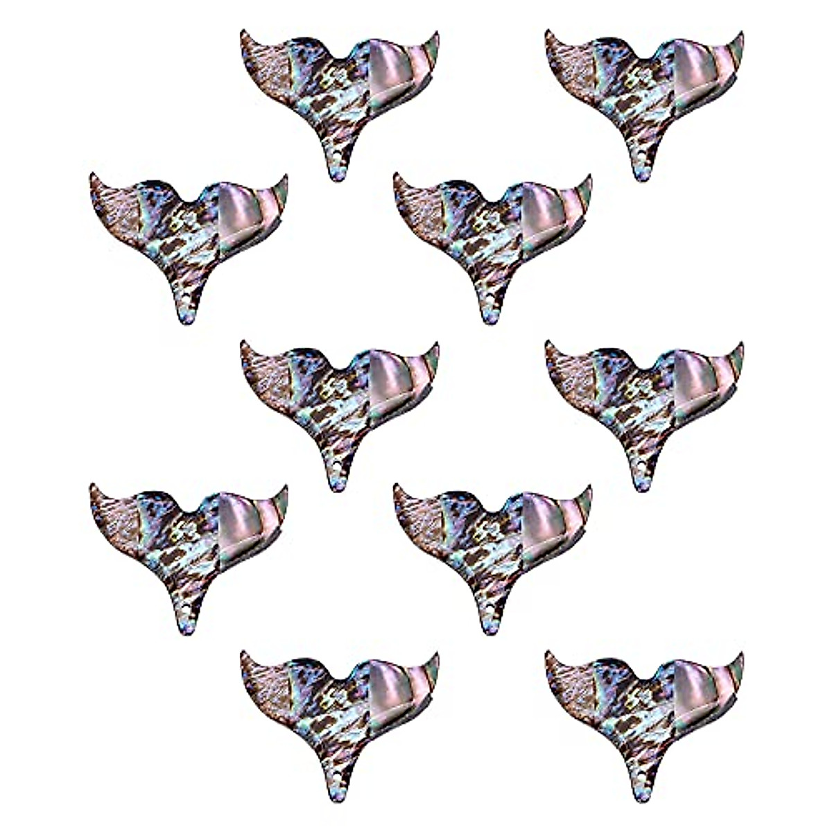 BENECREAT 16PCS Natural Abalone Shell Fishtail Abalone Shell Beads with Storage Containers for DIY Jewelry Making