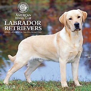 2014 Labrador Retrievers - American Kennel Club Wall