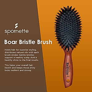 Spornette Deville Boar Bristle Wooden Paddle Hair Brush for Women - Cushion Oval Hair Straightening Brush for Blow Drying, Detangling, Smoothing & Styling
