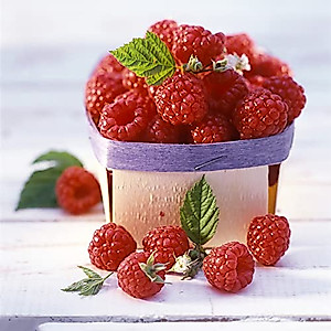 WUWEOT 15 Pack Wooden Berry Baskets, One Pint Square Vented Wood Boxes for Fruit Picking or Arts & Crafts, 4 Inches