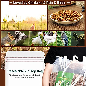 Euchirus Non-GMO High-Protein Large Dried Mealworms for Chickens, Natural Grubs and Poultry Treats as Chicken Feed,Duck Food, Wild Birds Seed,Fish Food,Reptile Food,Amphibian Food(Mealworms-5LB)