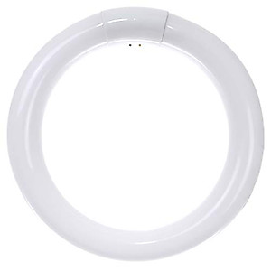 Sunlite 41316 FC8T9/CW 8-Inch T9 Round Fluorescent Circline Lamp, 22 Watts, 1250 Lumens, 4100K Cool White, G10Q 4-Pin Base, 1 Pack