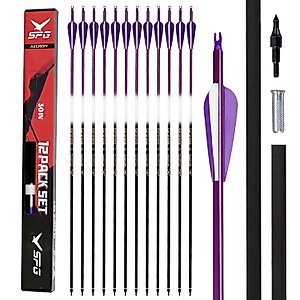 FENJANER Archery 30 inch Carbon Arrows Fluorescence Color Targeting and Practice and Hunting Arrows with Detachable Tip for Recurve Bow and Compound Bow(Pack of 12) (Purple)