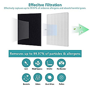 Lhari 2-Pack115115 HEPA Filter Size 21 with 8 x Activated Carbon Pre-Filters Compatible with Winix Air Purifier P300, 5300, 5500, 6300, C535 & 290, 300, DX95, AP-300PH