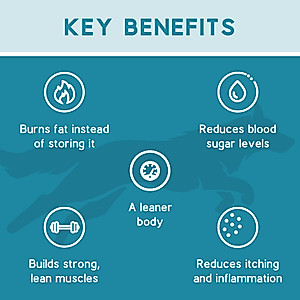 Ketona Chicken Recipe Adult Dry Dog Food, Natural, Low Carb (Only 5%), High Protein (46%), Grain-Free, The Nutrition of a Raw Diet with The Cost and Convenience of a Kibble; 24.2lb