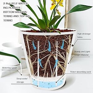 lehorra 1 Pcs Orchid Pot with Holes, 7 Inch Self Watering Plastic Orchid Pots for Repotting, Breathable Slotted Planter Pots for Orchid, Devil's Ivy Healthy Air Circulation & Drainage (White)