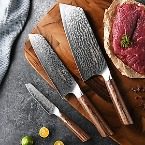 Damascus Kitchen Knife Set, 3 Pieces Japanese Style Kitchen Knives 67 Layer Forged Damascus VG10 Steel, lightweight Wood Ergonomic Handle for Cooking Knives Set