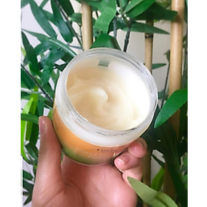 EDEN BodyWorks Papaya Castor Conditioning Hairdress | 8 oz | Reduce Frizz, Nourish Hair & Scalp - Light Hold