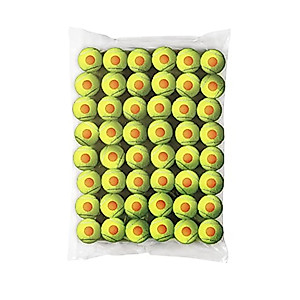 WILSON Sporting Goods Starter Orange Tennis Ball - 48 Pack,WRT13730B
