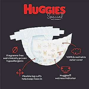 Baby Diapers and Wipes Bundle: Huggies Special Delivery Diapers Size 2, 180ct & Special Delivery Baby Diaper Wipes, Unscented, 6 Push Button Packs (336 Wipes Total)