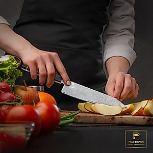 Paul Brown's™ 8 inch Professional AUS-10 Damascus 67 Layers Steel Kitchen Chef Knife with wooden handle Pine wood gift box and leather sheath