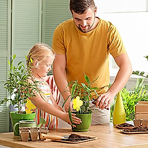 36 PCS Fruit Fly Trap Yellow Sticky Fungus Gnat Killer for Indoor and Outdoor Plant Insect Catcher for White Flies Mosquitos Fungus Gnats Flying Insects Houseplant Gift for Flower Lover