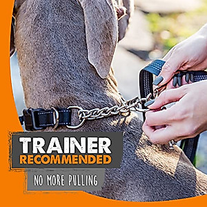 Martingale Collar, Training Dog Collar, Limited Cinch Chain Pet Gear for No Pull Dog Walking