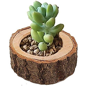 Yikko Tea Light Candle Holders, Personalized Wooden Votive Tealight Holder for Wedding Centerpieces for Table, Halloween |Christmas Party |Valentine's Day |Home Decoration - 12pcs (2.36Wx0.98H)