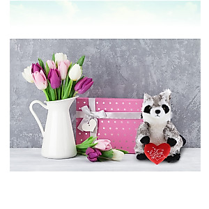 DolliBu I Love You Valentine Plush Raccoon - Cute Stuffed Animal with Red Heart and Name Personalization Gift for Valentines Day, Birthday, Anniversary, Romantic Date - 9 Inches