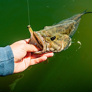 Northland Fishing Tackle Elite Series Nedster Jig for Smallmouth, Largemouth, & Spotted Bass Jig, Rusty Craw, 1/4 Oz 1/0 Hook, 3/Card