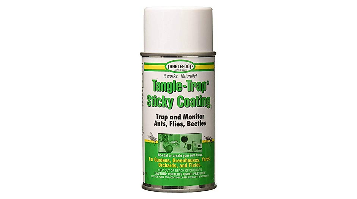 Tanglefoot Tangle-Trap Sticky Coating - 10 oz. Aerosol