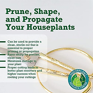 Premium Houseplant Scissors and Pruning Shears - Comfortable Grip Garden and Plant Clippers, Trimmers, Loppers, Flower Cutters, Made from 100% Stainless Steel