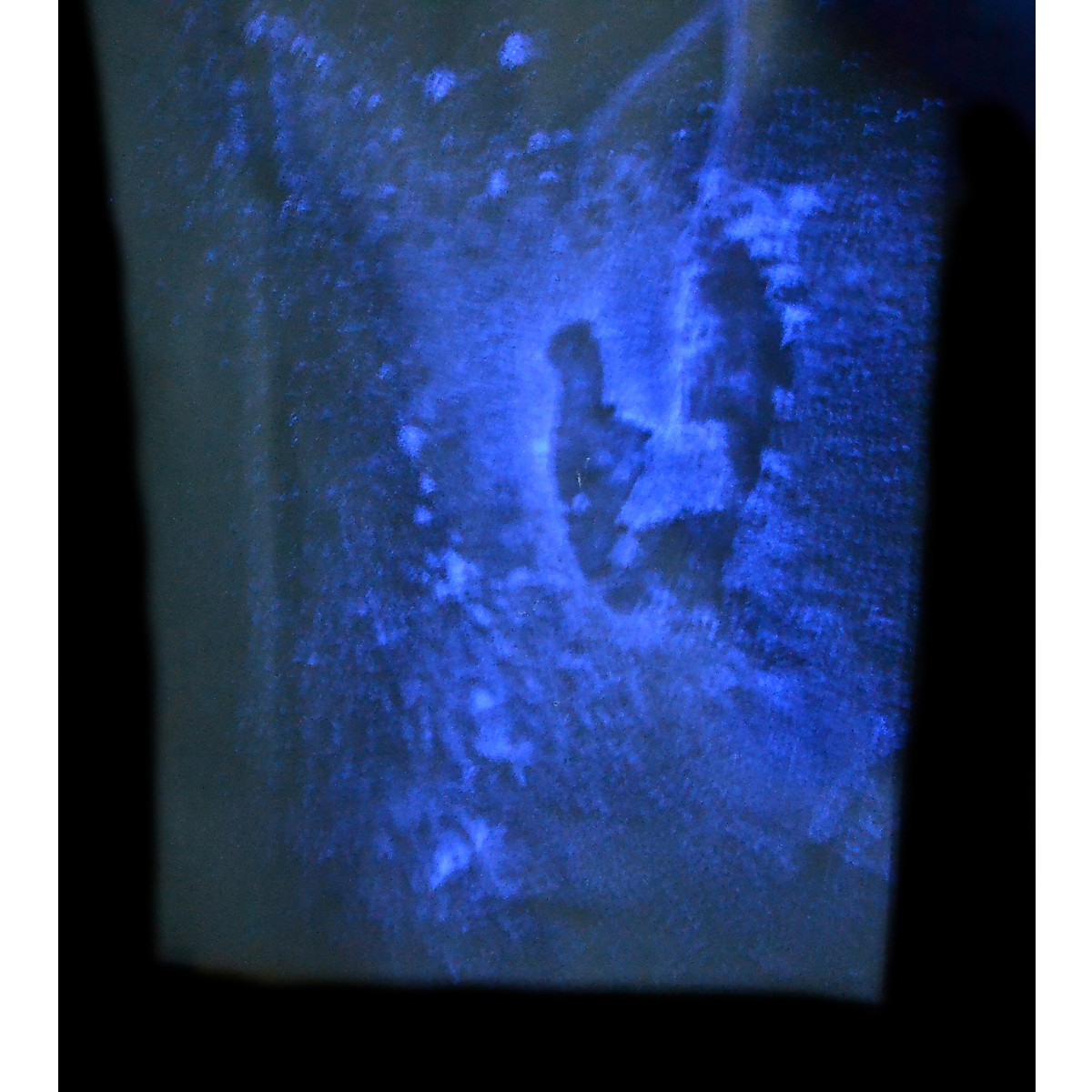 ALDON Innovating Science Chemiluminescence in Blood Stain Detection Forensic Kit