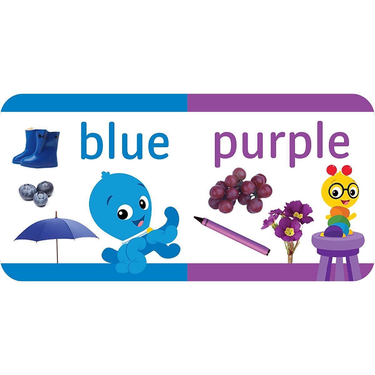 Baby Einstein - My First Library Board Book Block 12-Book Set - First Words, Alphabet, Numbers, and More! - PI Kids