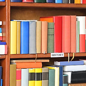 Hedume 100 Pcs Plastic Label Holder with 100 Pcs Label Inserts, 3" L x1" H Clear Plastic Shelf Label Holder, Shelf Sign and Ticket Holder, Clips On to Shelves 5/8" to 3/4" Thick